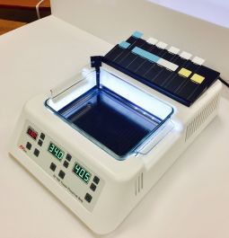 Water Bath Slide Drying Station Combo