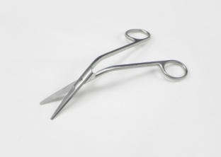 Dissection instruments - Gross Room - Anatomical Pathology