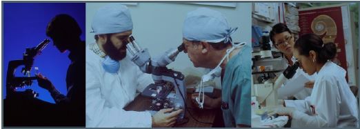 Celebrating Histotechnology Professionals Day